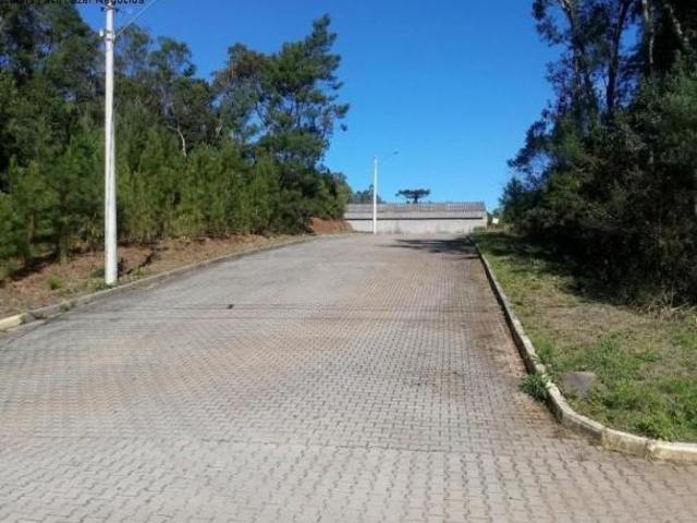 Terreno, Juriti, Nova Petrópolis, RS