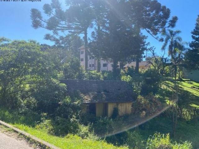 Terreno, Juriti, Nova Petrópolis, RS