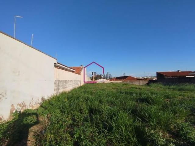 Terreno, Jardim Vertoni, Catanduva, SP