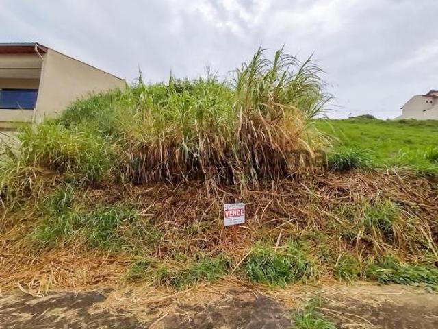 Terreno, Jardim Vista Alegre, Alfenas, MG