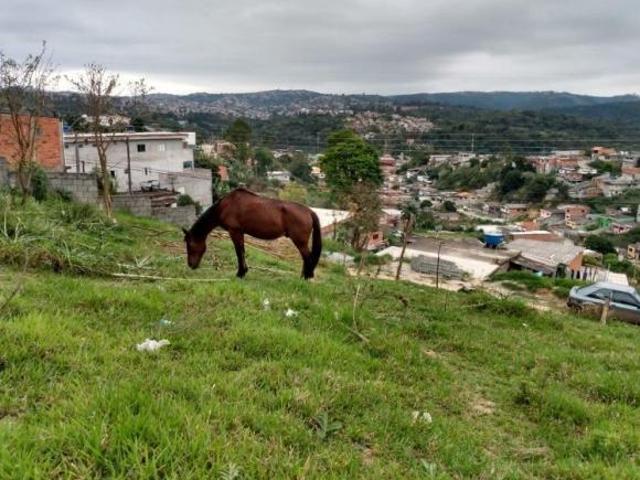 Terreno, Jardim Alegria, Francisco Morato, SP