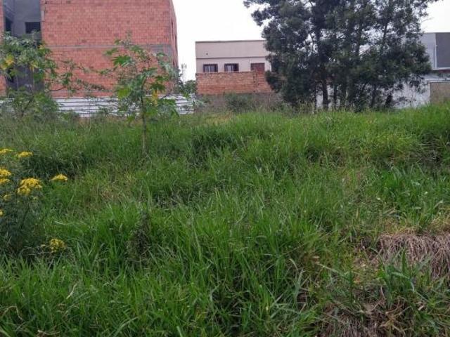 Terreno, Jardim Algarve, Alvorada, RS