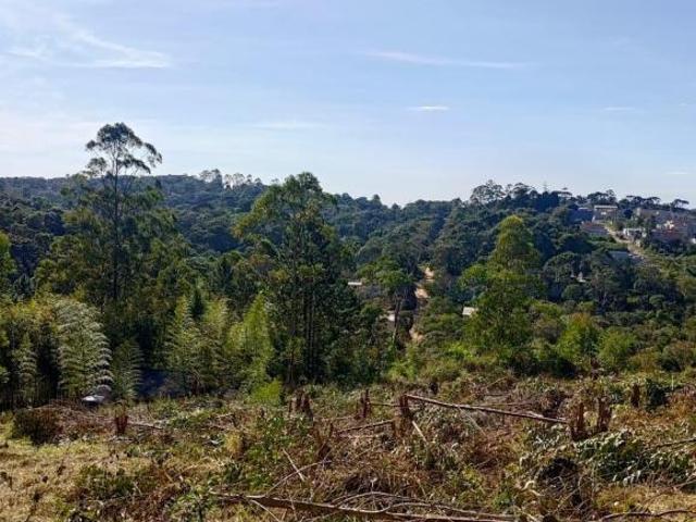 Terreno, Jardim das Cerejeiras, Cotia, SP
