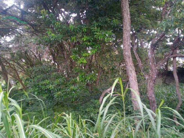 Terreno, Jardim Eneide, Atibaia R$ 999 mil, Cod: 3999