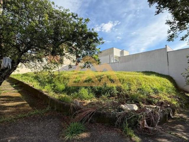 Terreno, Jardim Europa, Poços de Caldas, MG