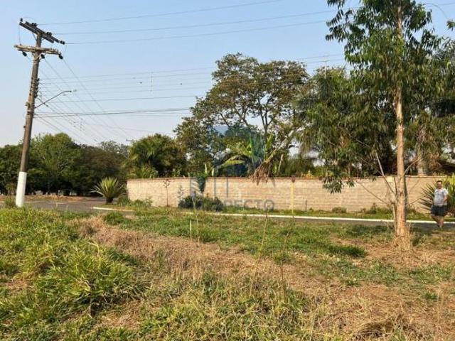 Terreno, Jardim Fausto Zaghetti, Santa Cruz da Conceição, SP