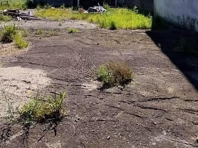 Terreno, Jardim Leopoldina, Porto Alegre, RS
