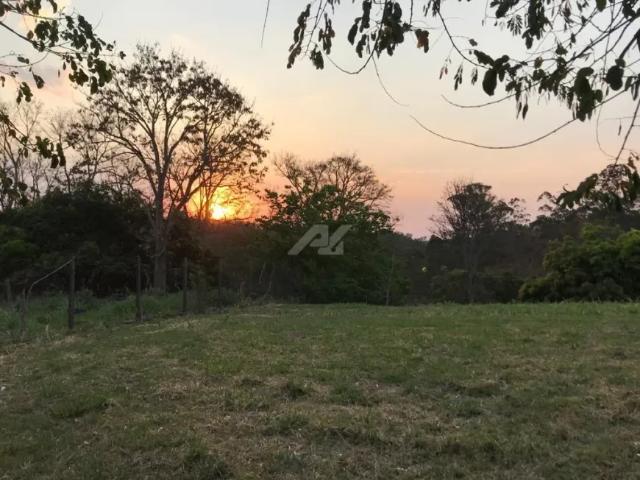 Terreno Jardim Martinelli Sousas Campinas