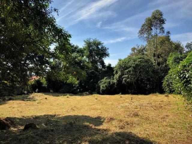 Terreno, Jardim Mediterraneo, Cotia, SP