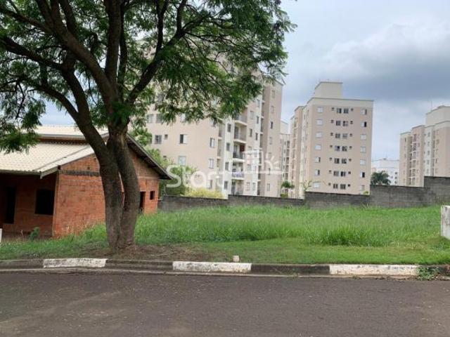terreno Jardim Myrian Moreira da Costa Campinas