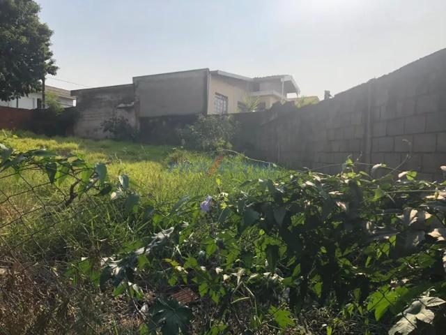 Terreno Jardim Nova Europa Campinas