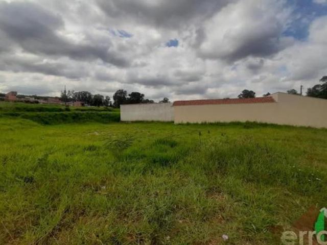 Terreno, Jardim Novo, Rio Claro, SP