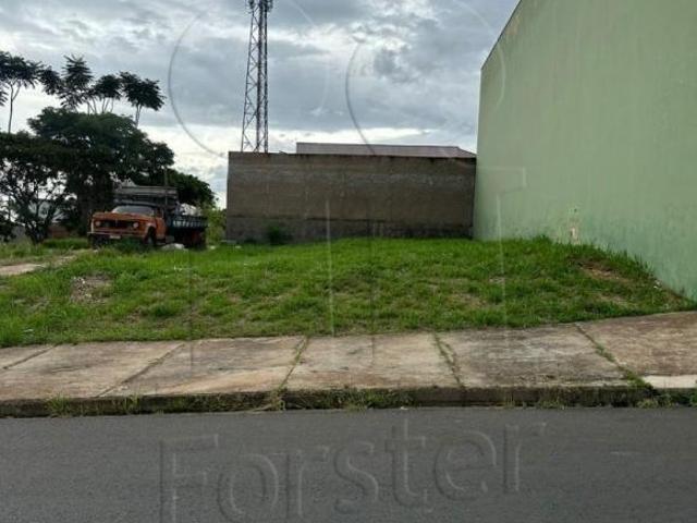 Terreno, Jardim Parque Avenida, Limeira, SP