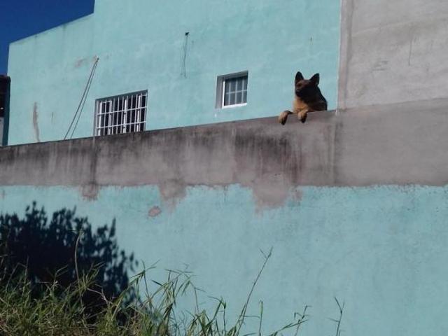Terreno, Ninho Verde, Porangaba, SP