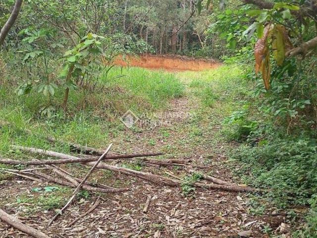 Terreno Jardim Santa Tereza São Paulo