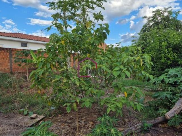 Terreno, Jardim Sales, Catanduva, SP