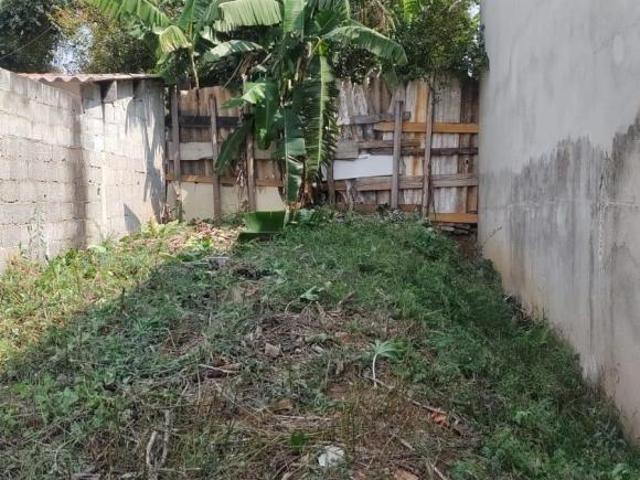 TERRENO JD BEATRIZ