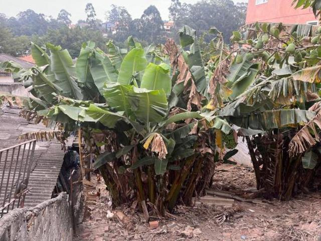 Terreno Jd Esther