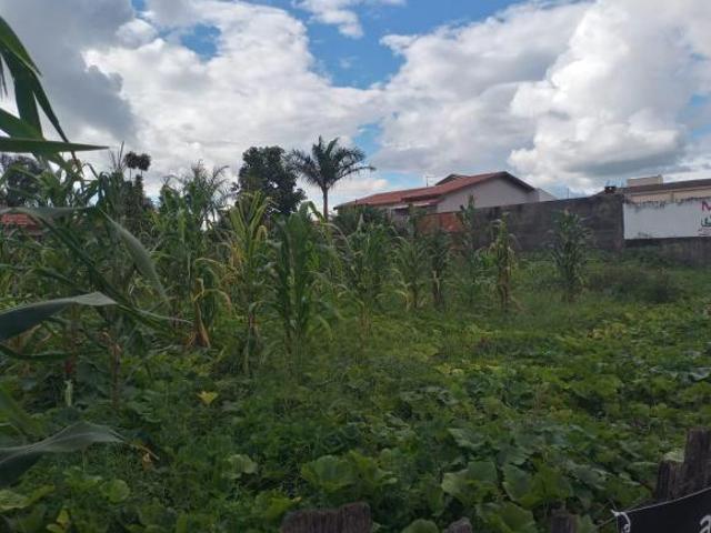 Terreno, Jd Santa Madalena, Sumaré, SP