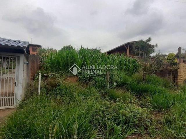 Terreno lugar alto