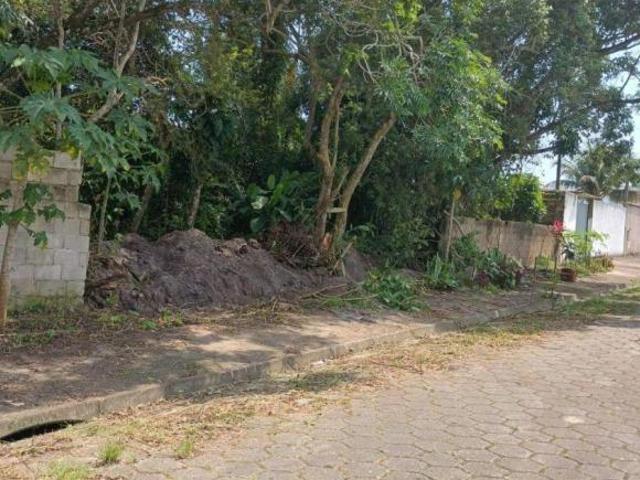 Terreno Lado Praia a 500 Metros do Mar no Jardim das Palmeiras – Itanhaém