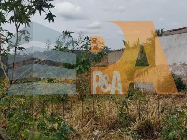 Terreno, Limoeiro, Pedreira, SP