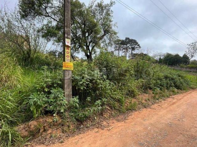 Terreno limpo de 1.000 m² com vista maravilhosa!