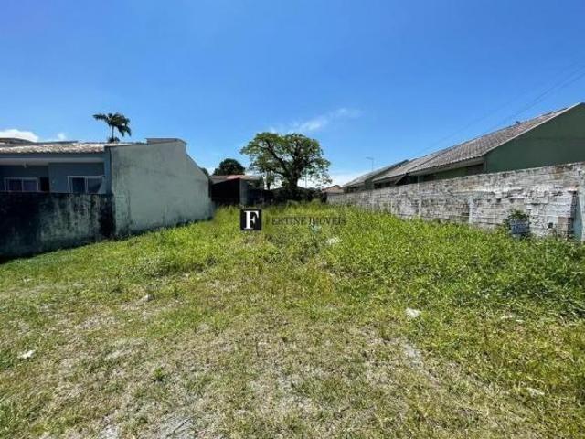 Terreno limpo e aterrado em Shangri lá para venda