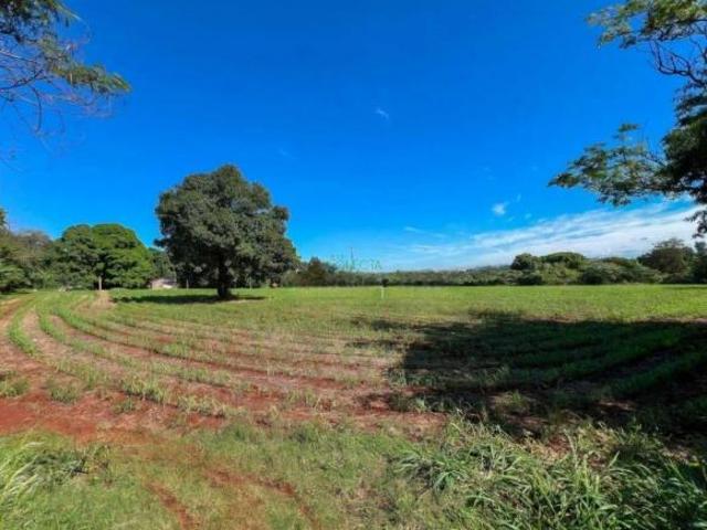 Terreno | Lindóia | Londrina