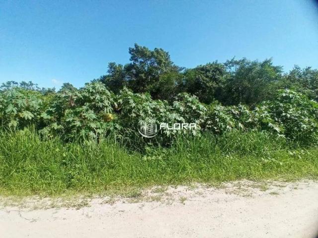 Terreno Linear, No Condomínio Portal dos Cajueiros, com 774 m², à venda por R$ 135.000,00, Cajueiros