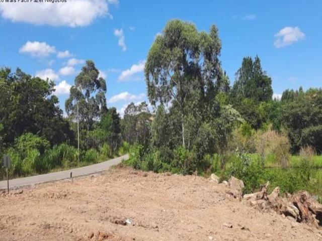 Terreno, Linha Olinda, Nova Petrópolis, RS