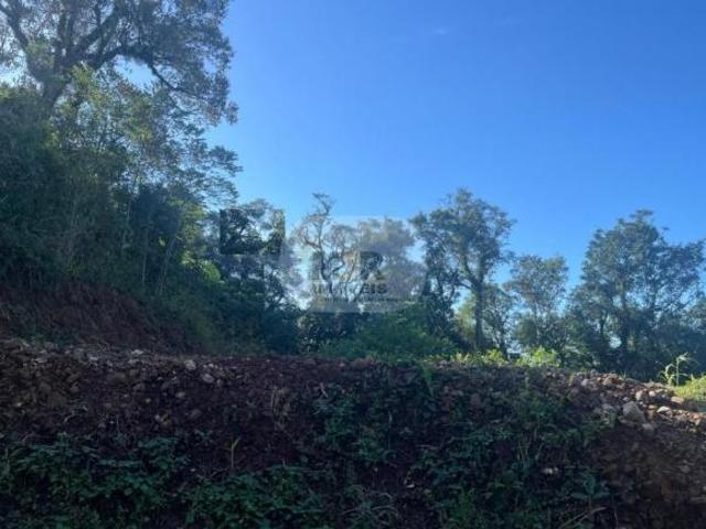 Terreno, Linha Olinda, Nova Petrópolis, RS