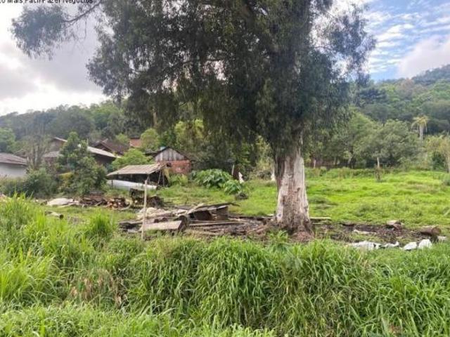 Terreno, Linha Araripe, Nova Petrópolis, RS
