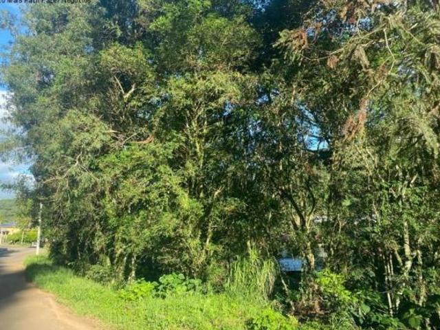 Terreno, Linha Brasil, Nova Petrópolis, RS