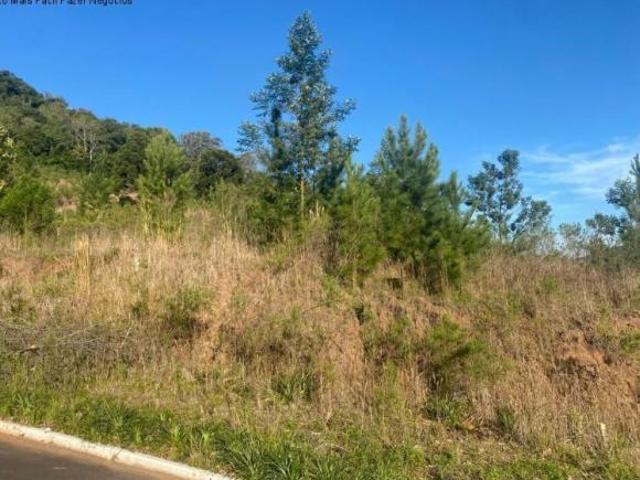 Terreno, Linha Brasil, Nova Petrópolis, RS