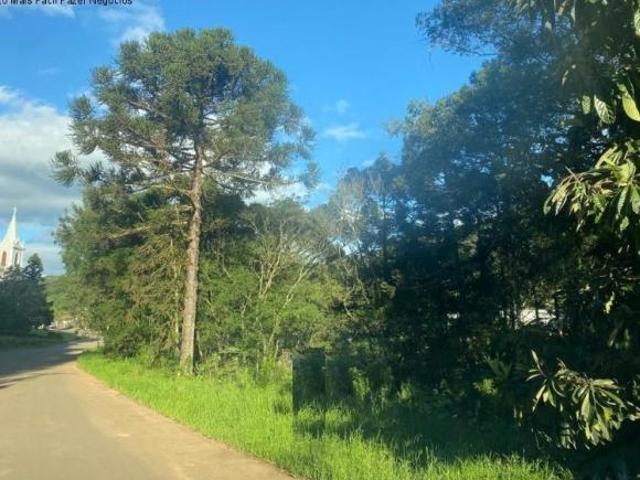 Terreno, Linha Brasil, Nova Petrópolis, RS