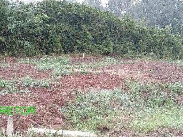 Terreno, Linha Esperança, Maratá, RS