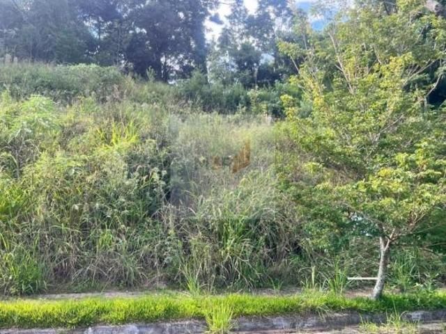 Terreno, Linha Imperial, Nova Petrópolis, RS