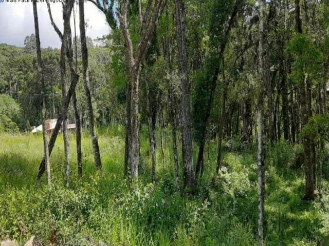 Terreno, Linha Imperial, Nova Petrópolis, RS