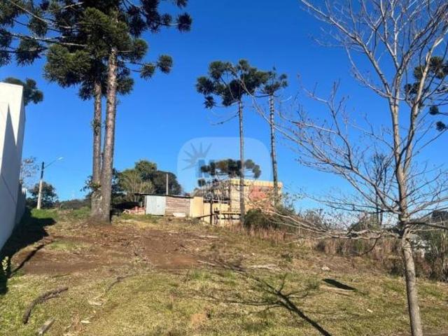 Terreno, Linha Imperial, Nova Petrópolis, RS