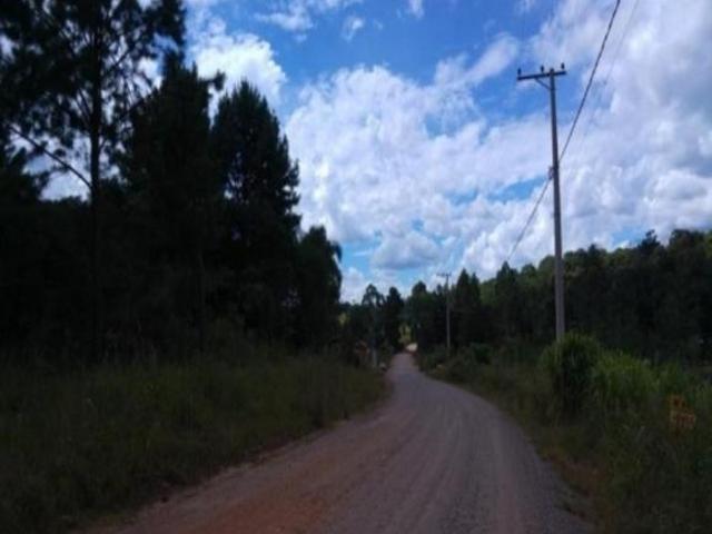 Terreno, Linha Imperial, Nova Petrópolis, RS