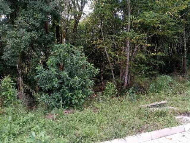 Terreno, Linha Imperial, Nova Petrópolis, RS