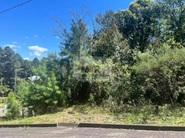Terreno, Linha Imperial, Nova Petrópolis, RS