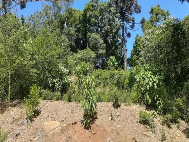 Terreno, Linha Imperial, Nova Petrópolis, RS