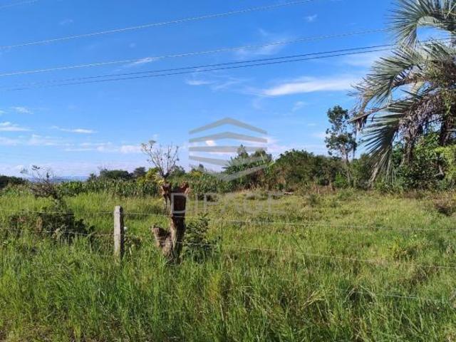 Terreno, Localidade de Roça Grande, Santo Antônio da Patrulha, RS