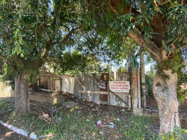 Terreno localizado no bairro São José com 10 metro de frente e 31 de fundos