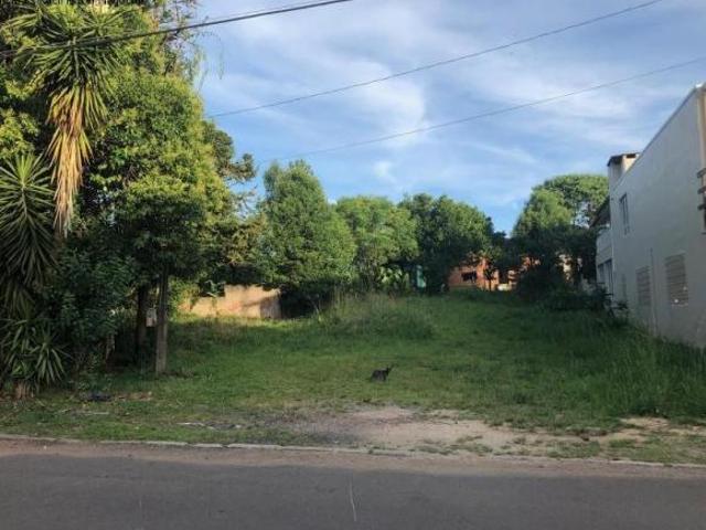 Terreno, Logradouro, Nova Petrópolis, RS