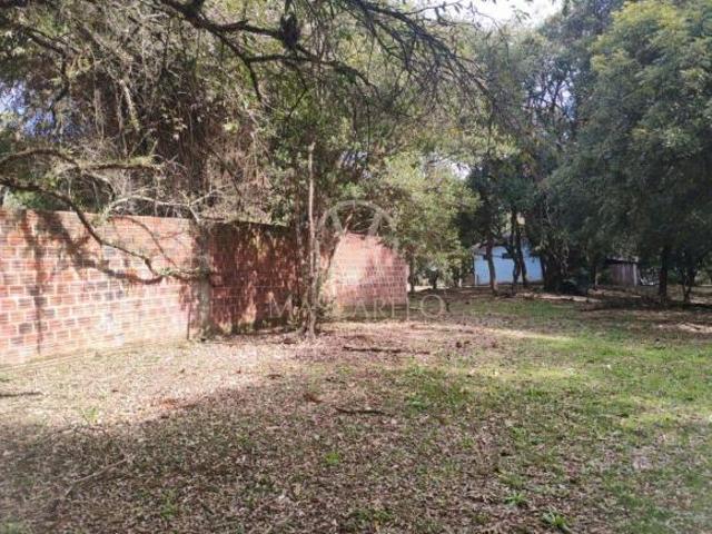 Terreno lote