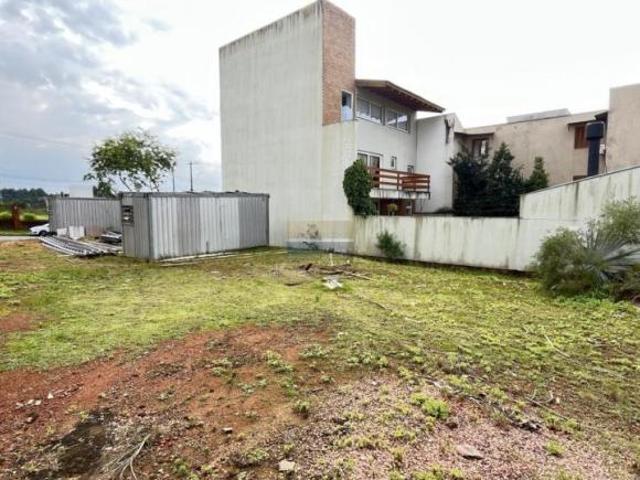 Terreno / Lote / Condomínio Bairro Protásio Alves