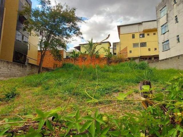 TERRENO / LOTE Bairro Castelo, Belo Horizonte / MG
